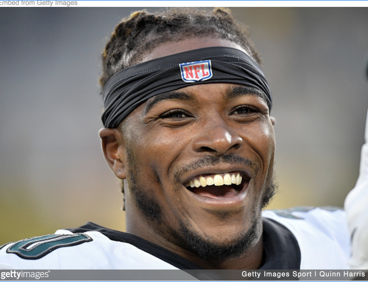 2020 Season Preview: Questions at Receiver, Running Back - Inside The Birds