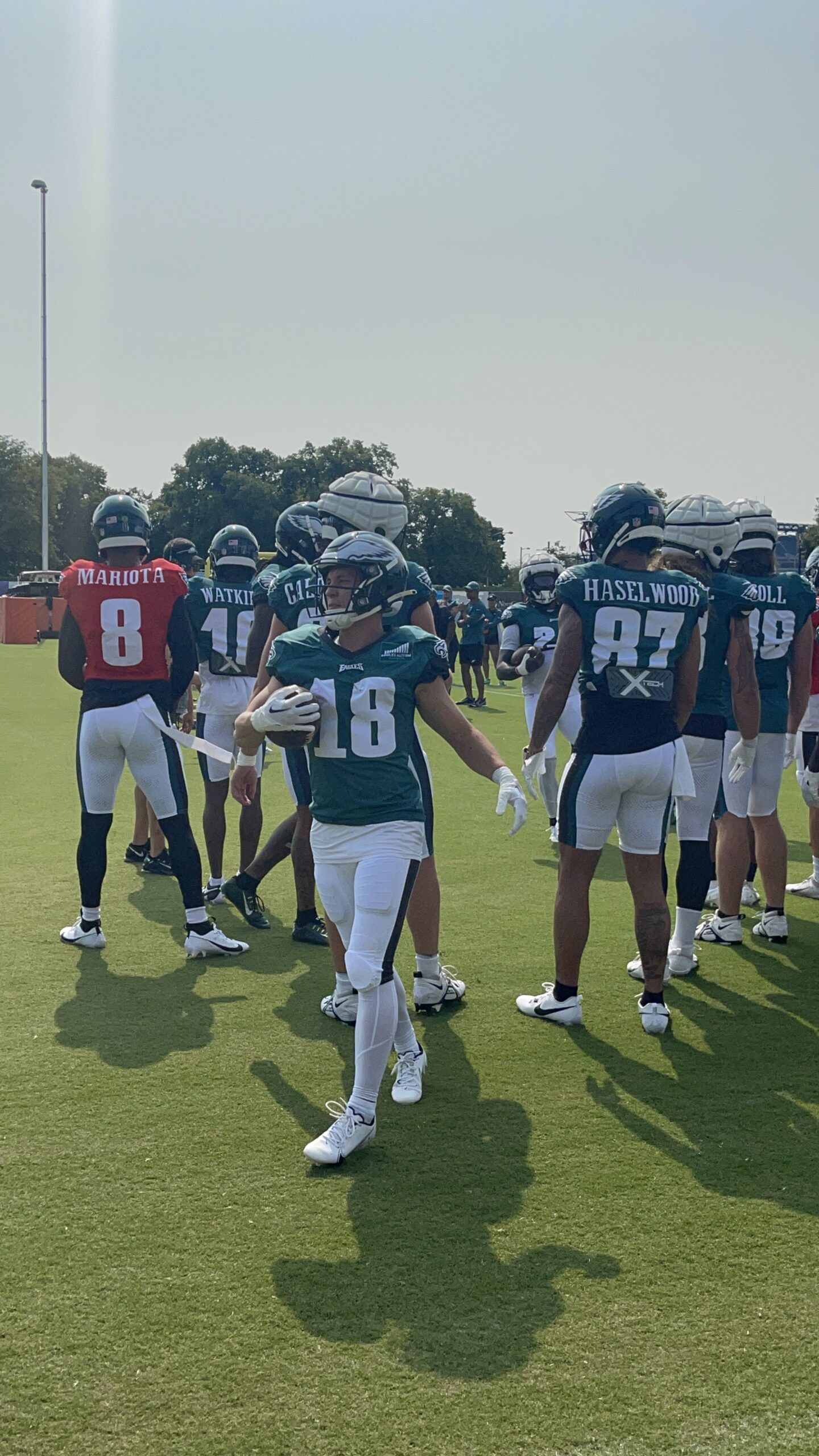 Pad Level - Inside The Birds