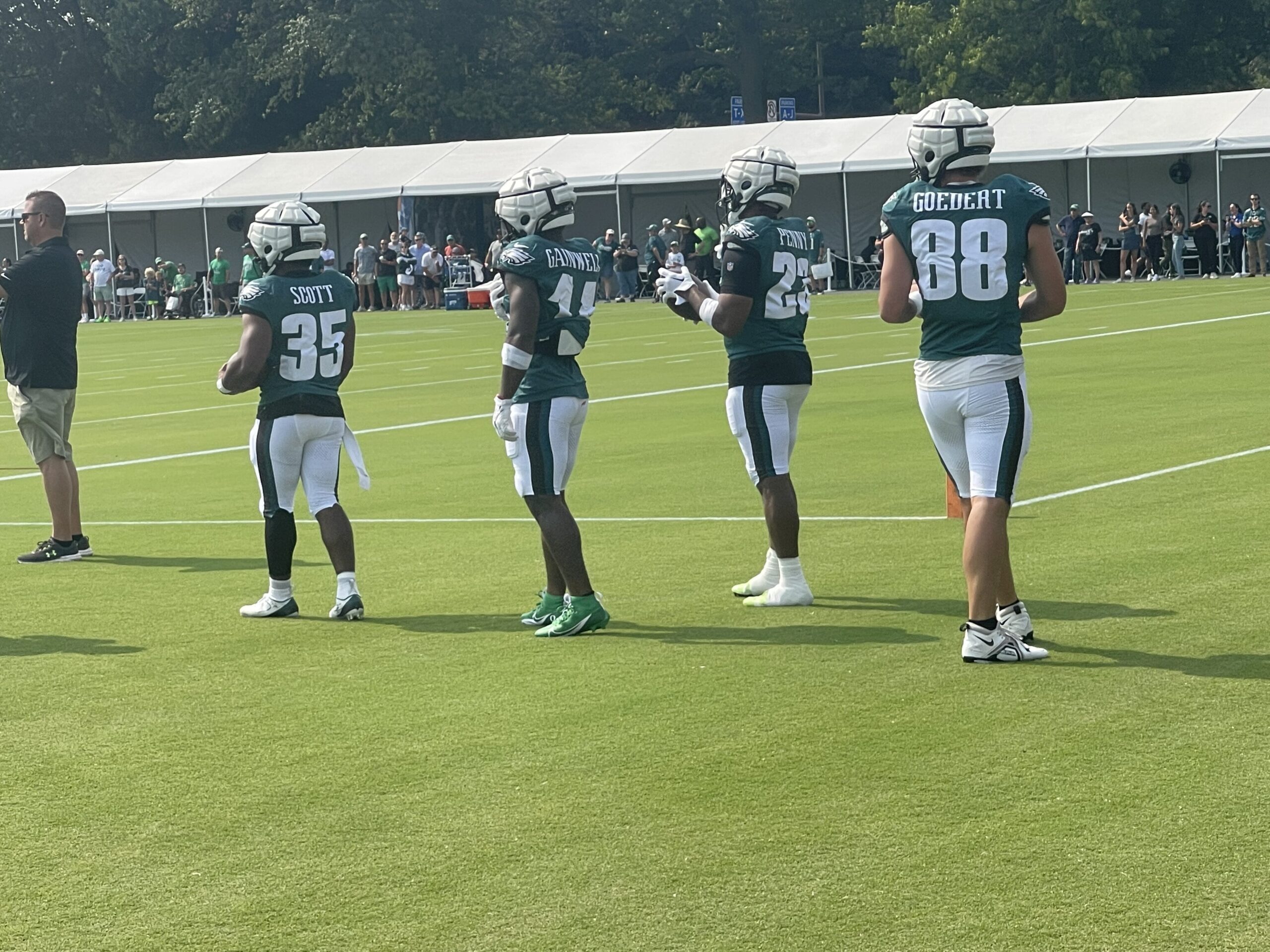 Tackle Tuesday! - Inside The Birds