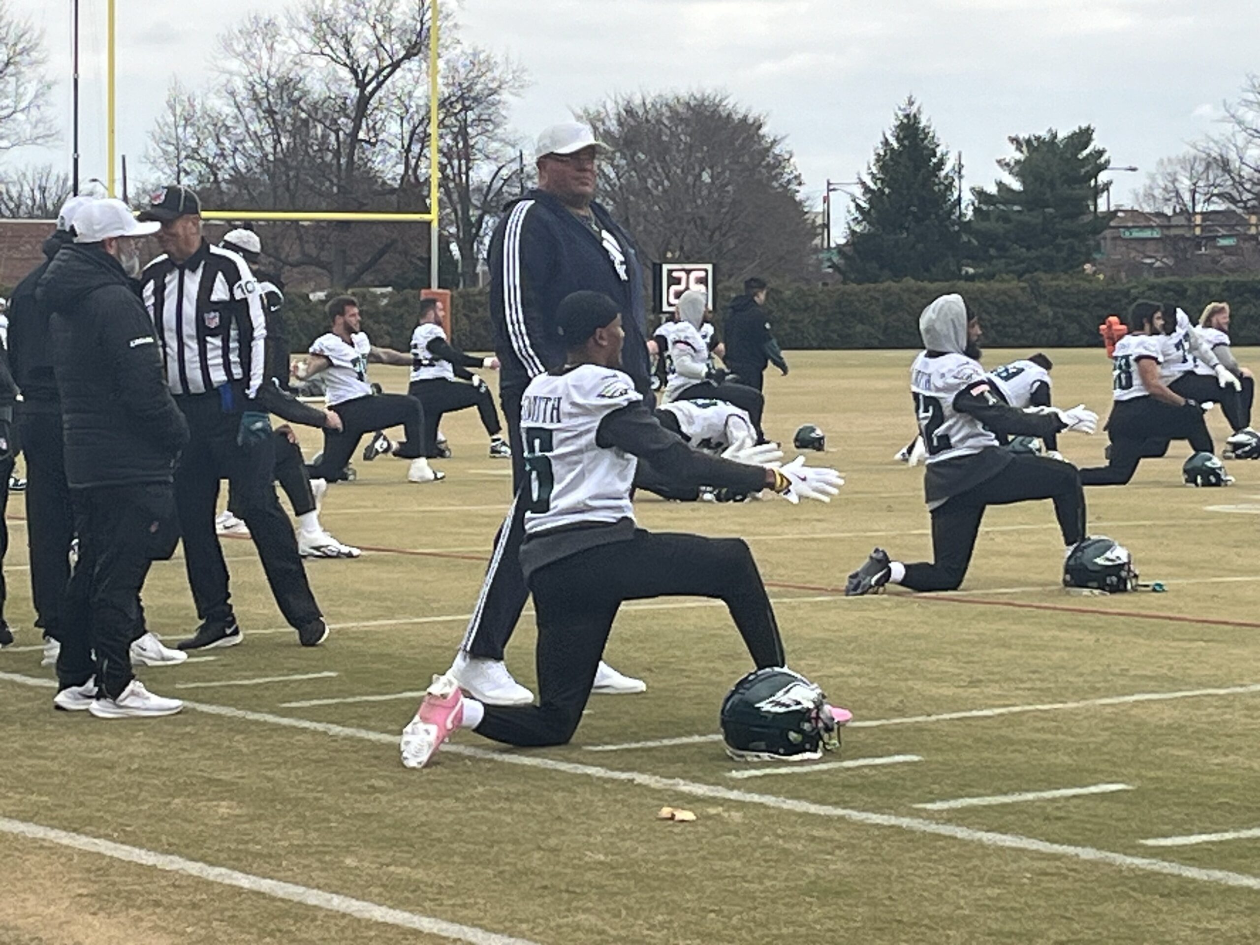 Return Of The Wingman? - Inside The Birds