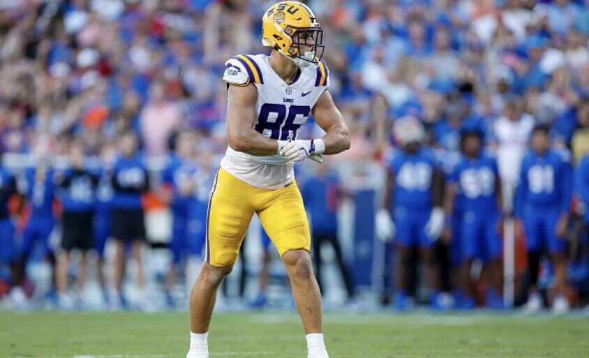 Eagle Among Them? - Inside The Birds