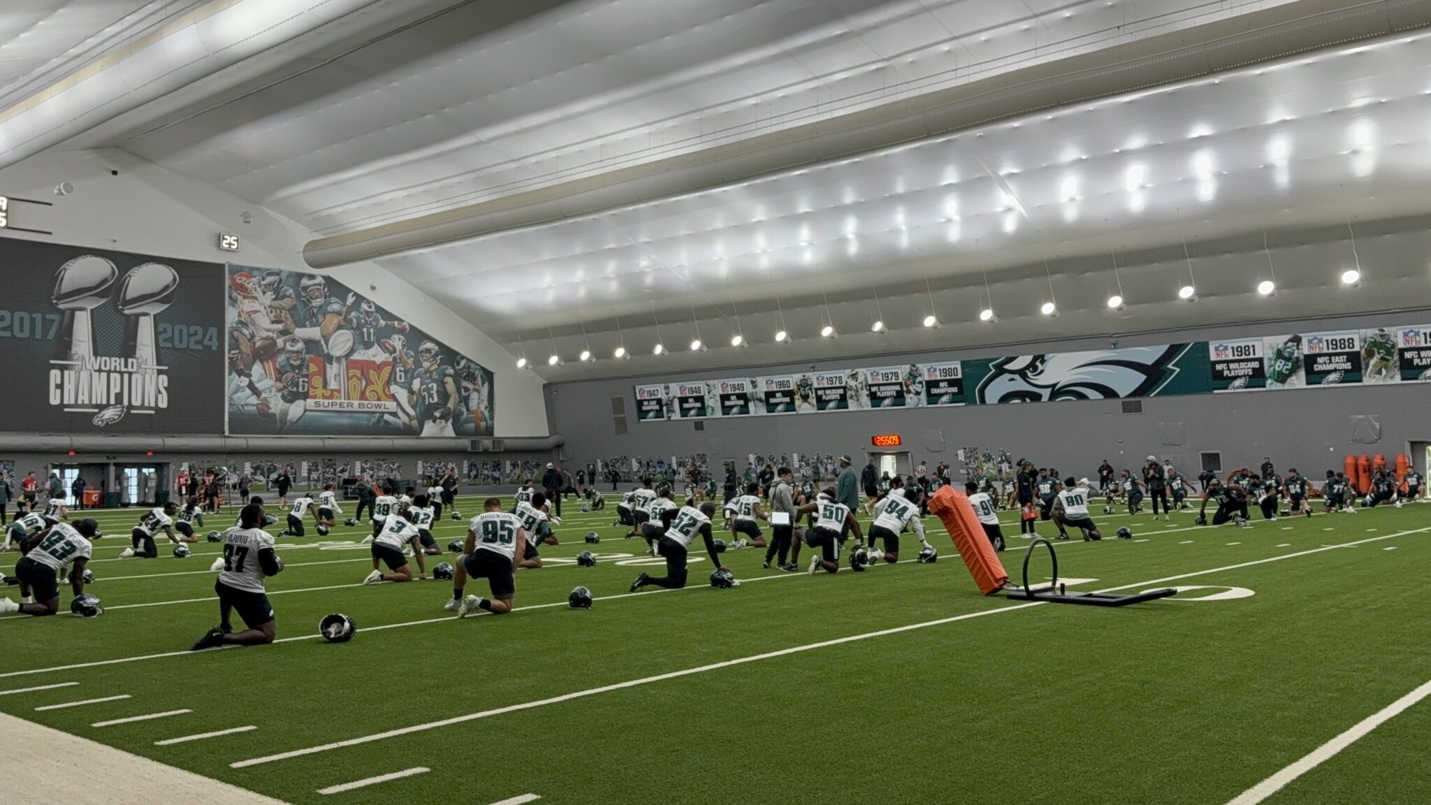 Birds On Display - Inside The Birds