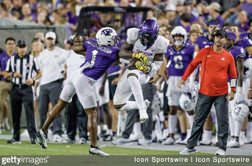 'Very Interested in Him' - Inside The Birds