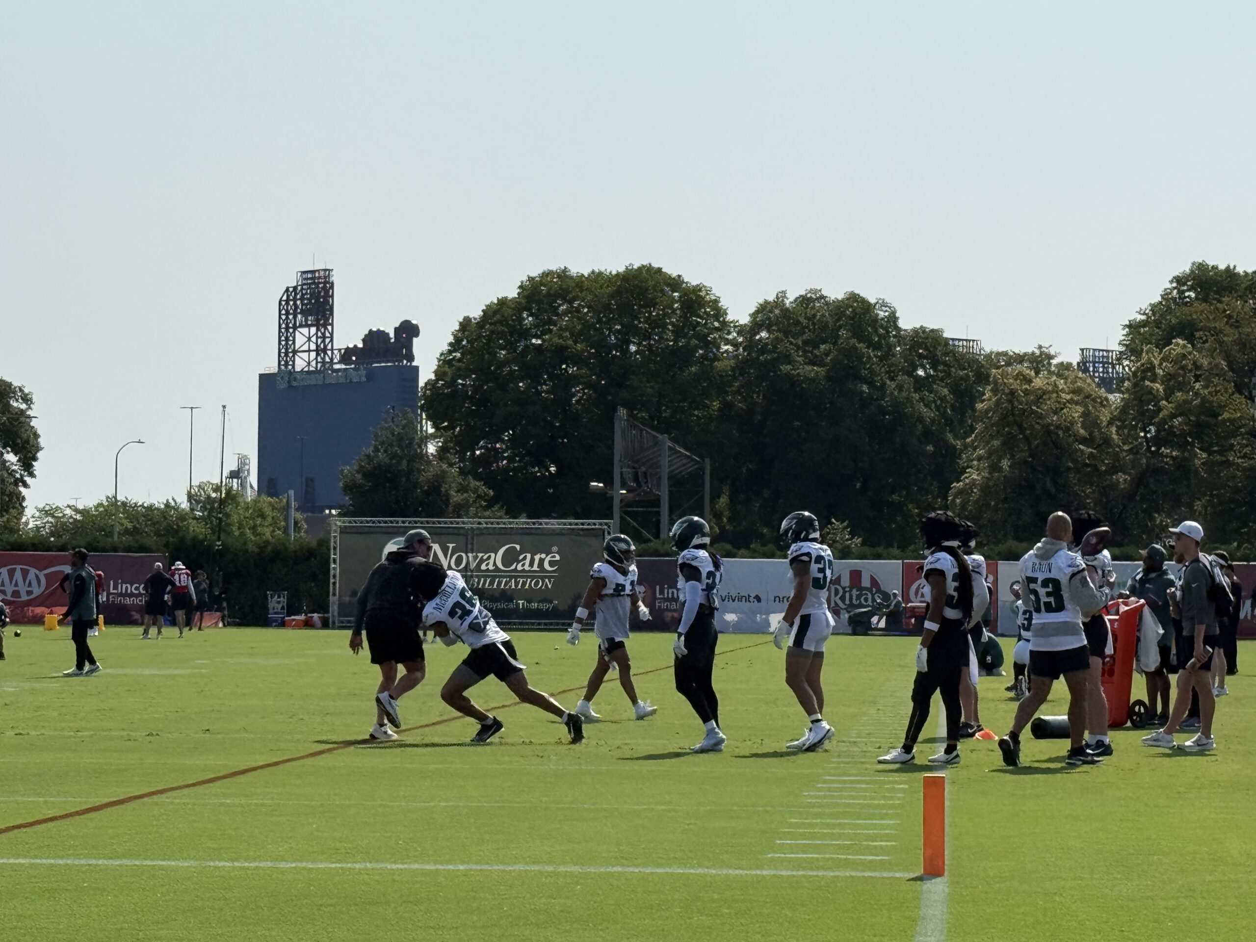 Back At It - Inside The Birds