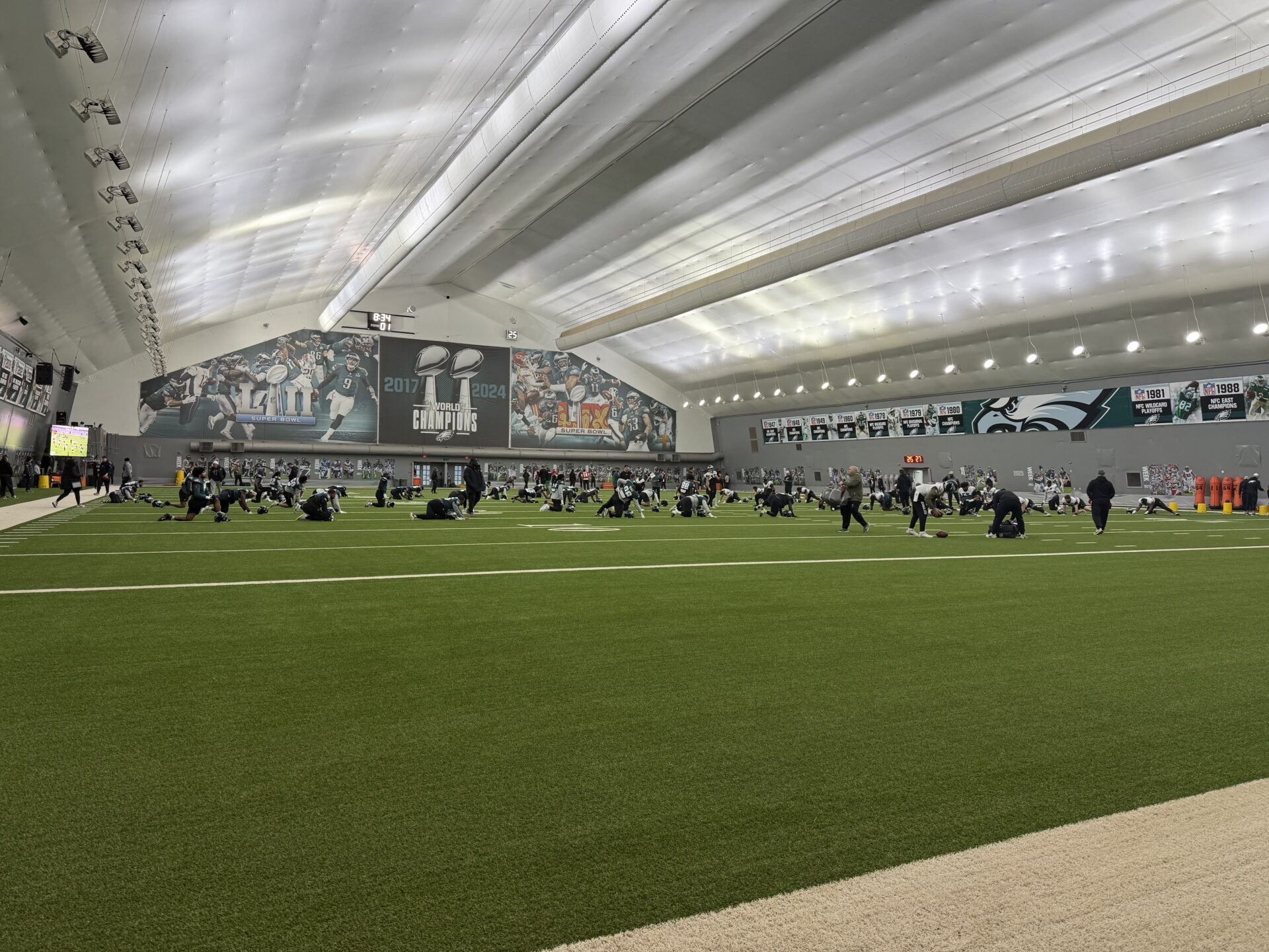 Back to Work - Inside The Birds