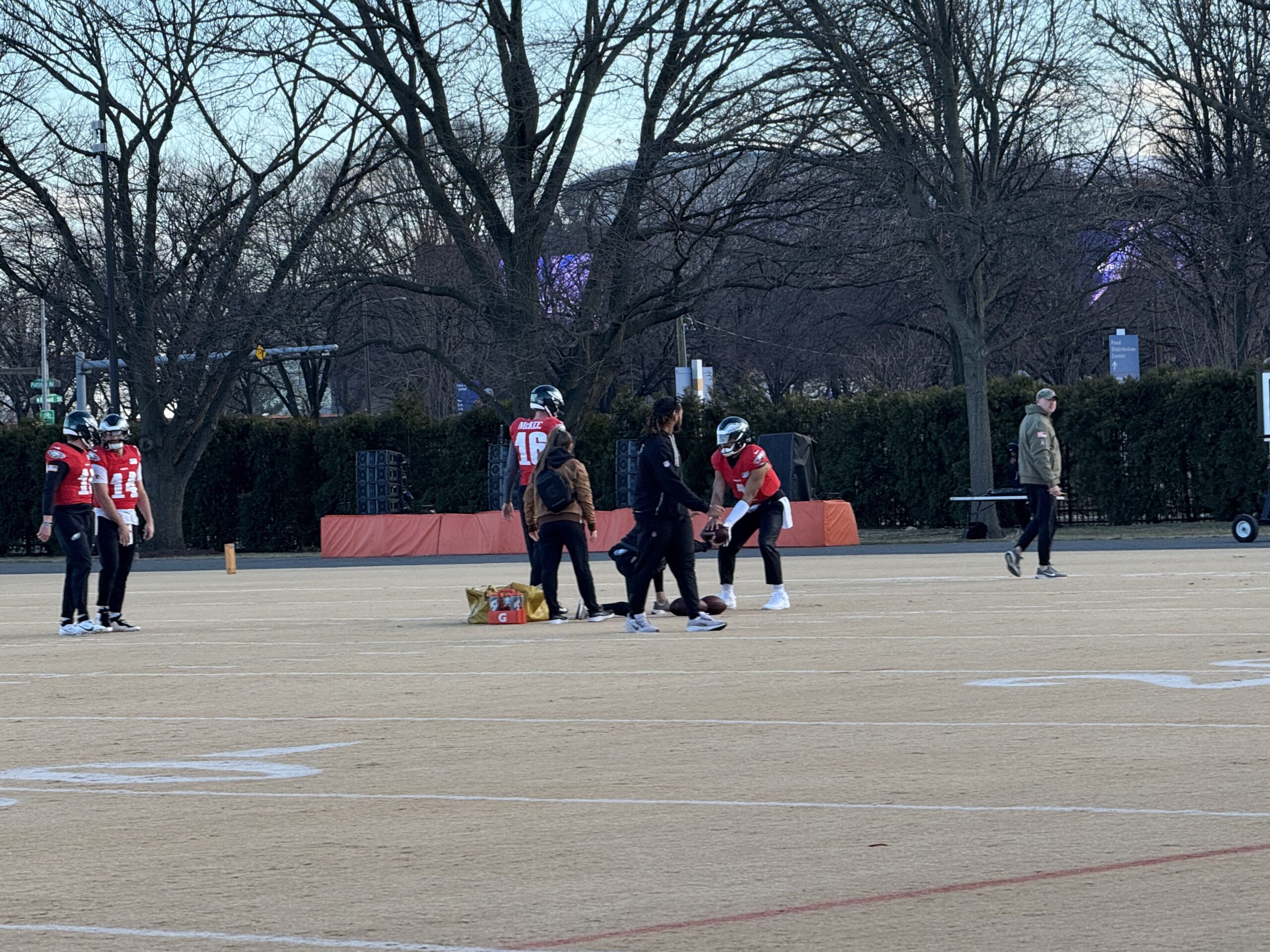 Peak Health For Birds - Inside The Birds